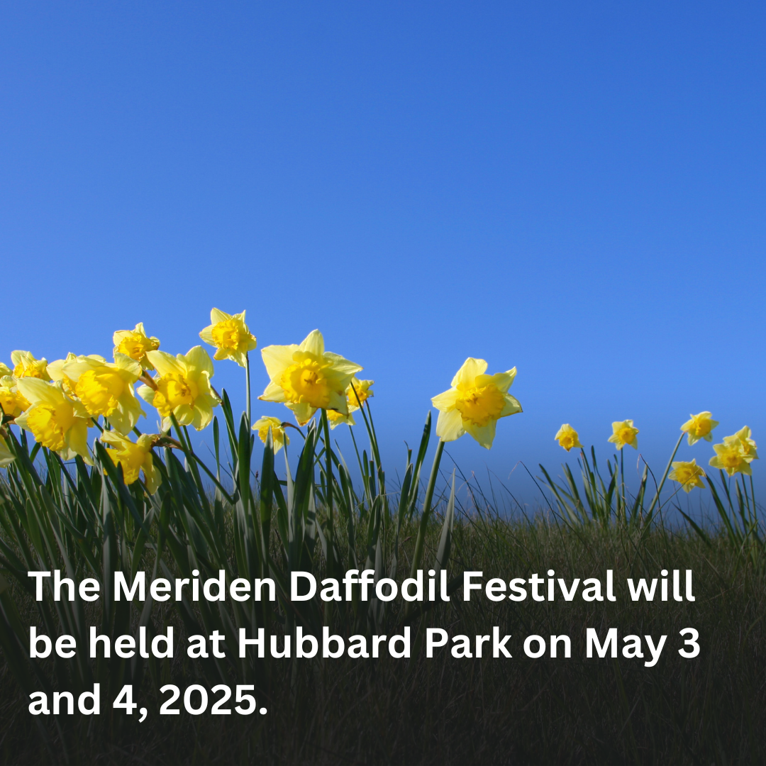 Meriden Daffodil Festival Returns This Weekend with Fireworks, Music ...