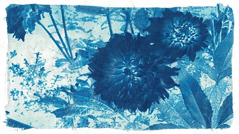 Cyanotype Photography Workshop at Connecticut River Museum ...